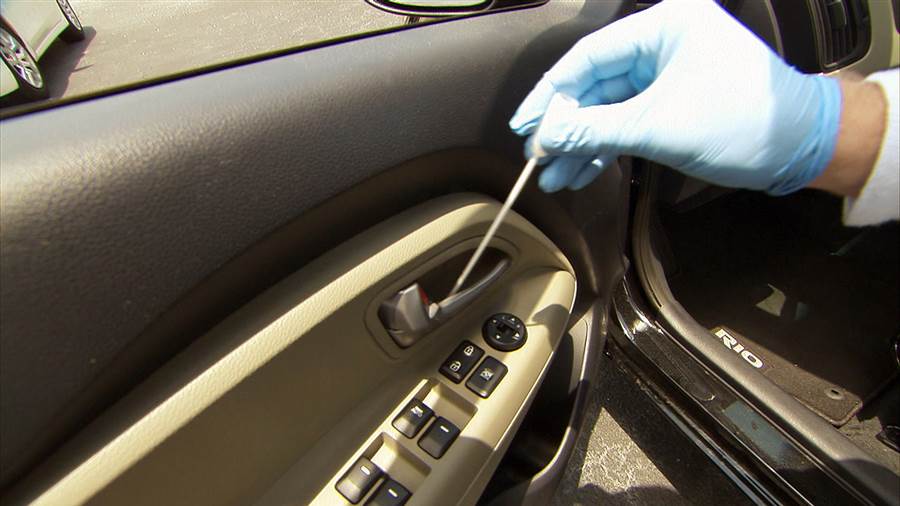 Germs Thrive in Your Car, Kill Them With These 4 Easy Steps
