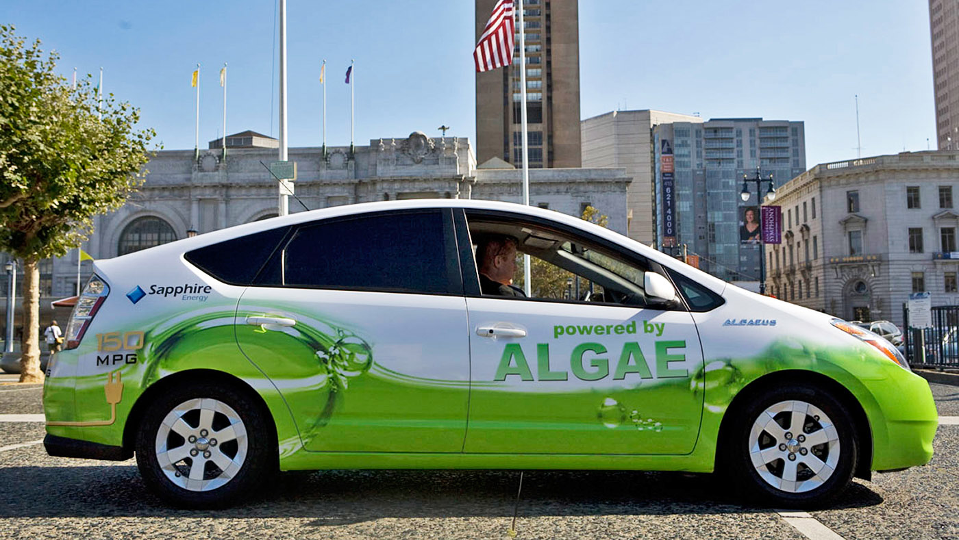 Why You Can’t Go Wrong With a “Green” Car